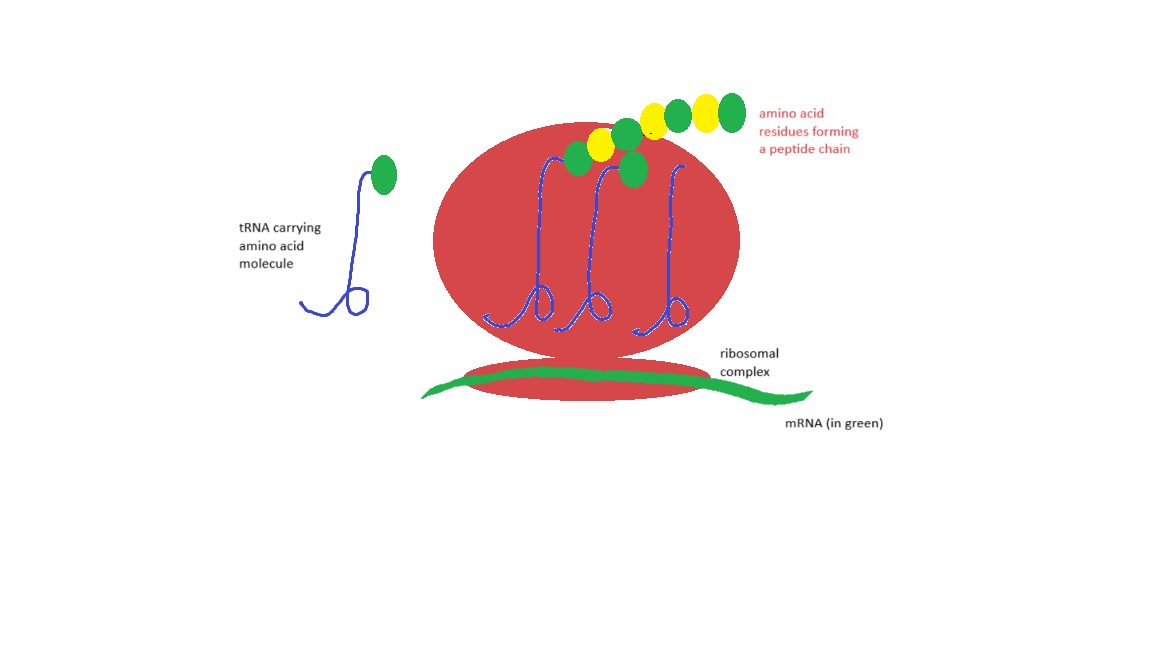 Identifying RNA – Ground breaking Grewall