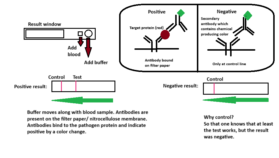 Creation of rapid diagnostic tests (RDTs) – Ground breaking Grewall
